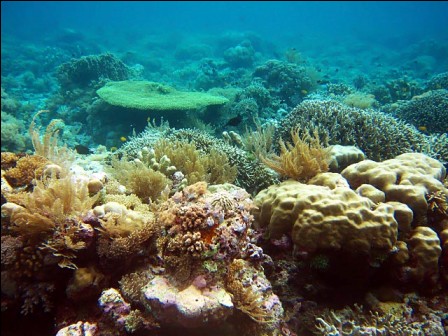 Indahnya Taka Bonerate, Taman Nasional dengan Atol Terbesar Ketiga di Dunia