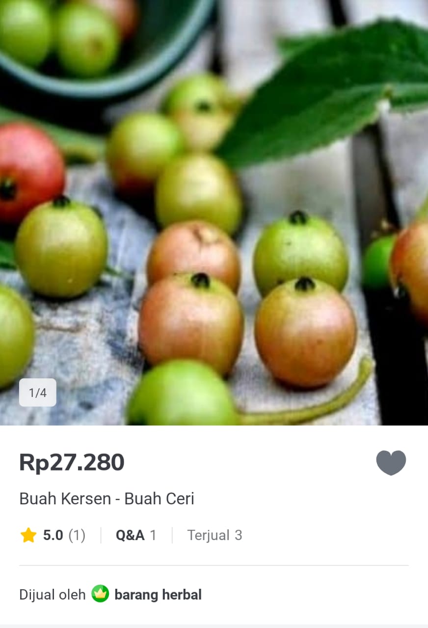 Tersebar di Indonesia, Buah Kersen Si Manis yang Legendaris