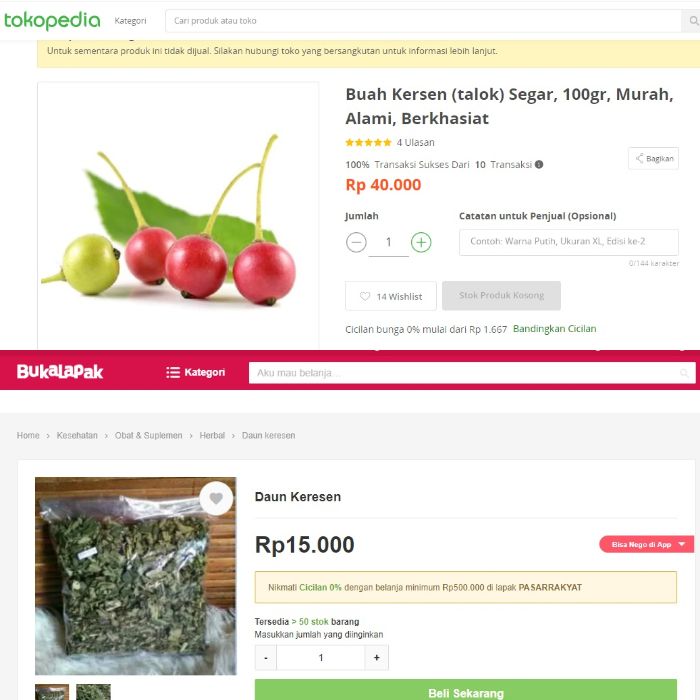 Tersebar di Indonesia, Buah Kersen Si Manis yang Legendaris