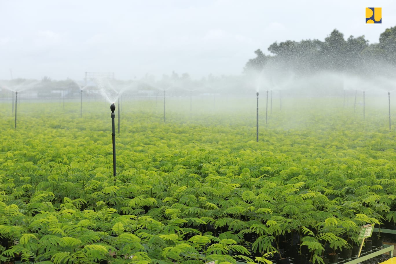 Pusat Persemaian Modern Rumpin, Harapan untuk Solusi Degradasi dan ...