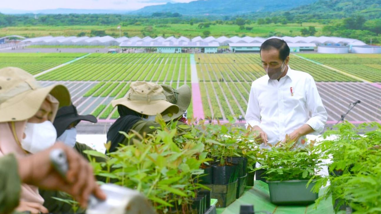 Pusat Persemaian Modern Rumpin, Harapan untuk Solusi Degradasi dan ...