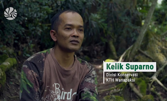 Selamatkan Burung dengan Cara Unik Bersama Mas Kelik