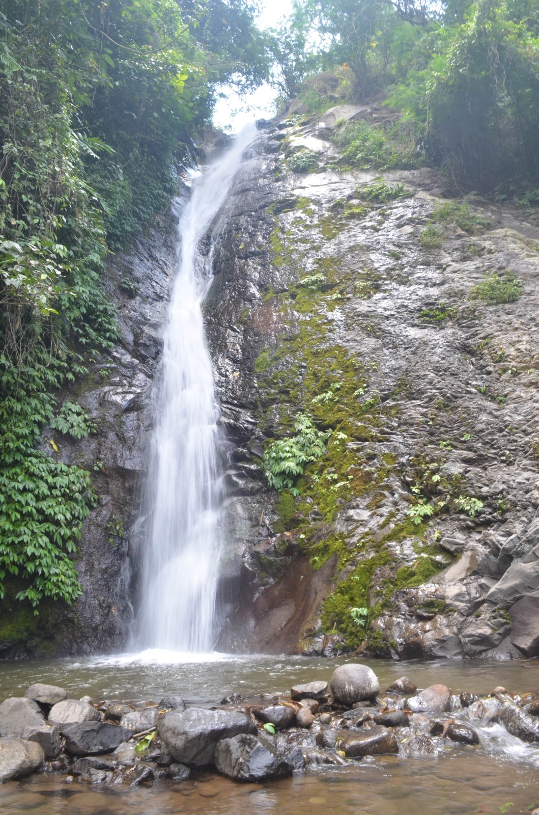 Air Terjun Panduman Sukmo Ilang, Keindahan Tersembunyi di Jember