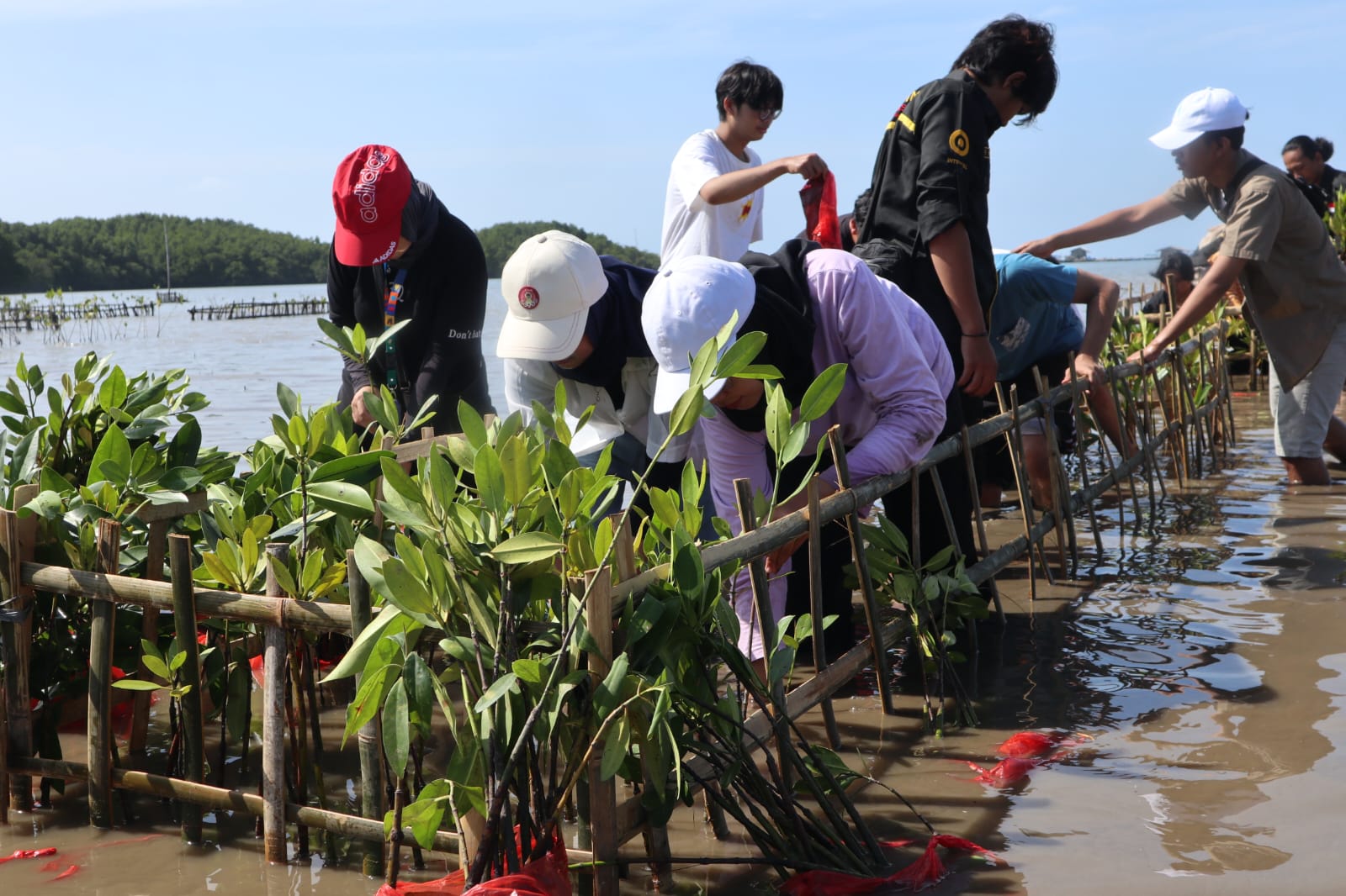 AIESEC in Unila Adakan Local Project Summer Peak 2023, Intip Keseruannya!