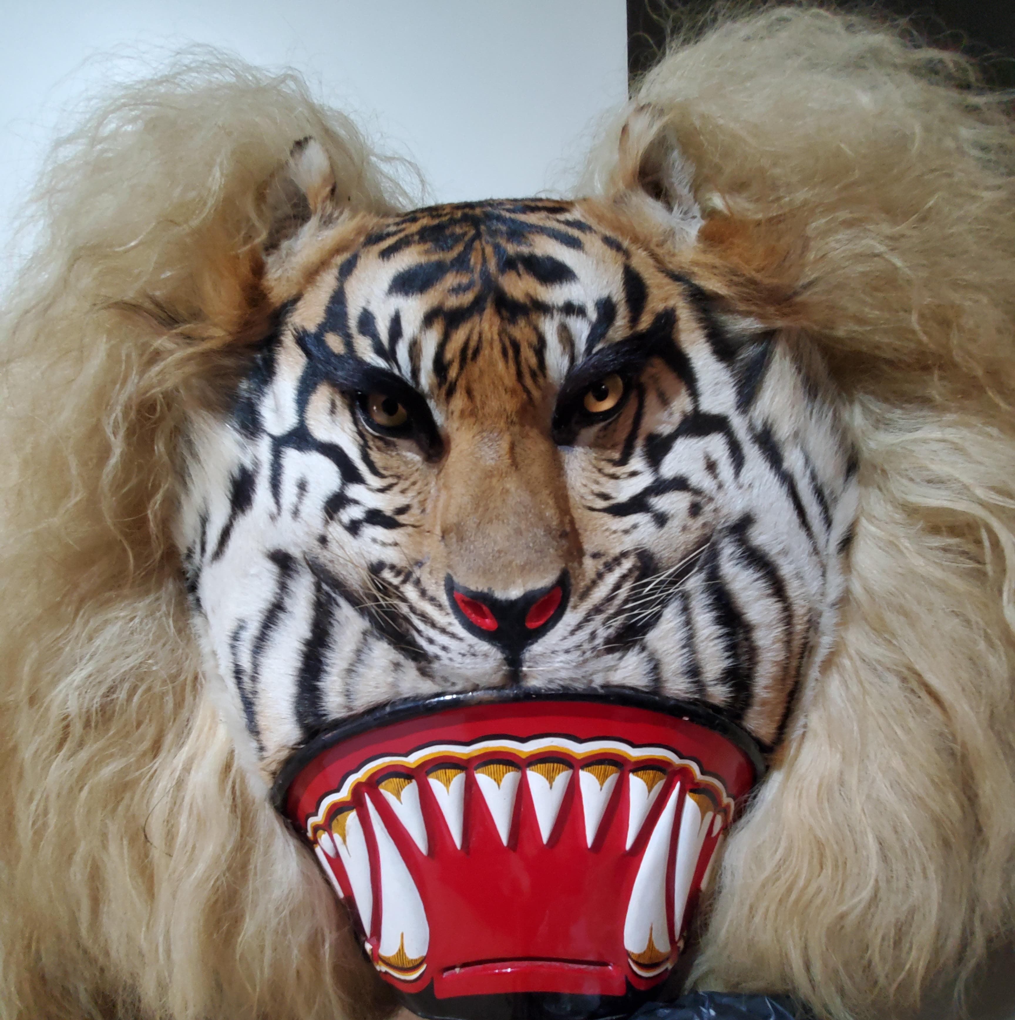 Cerita Topeng Terbesar di Dunia dari Pertunjukkan Reog Ponorogo