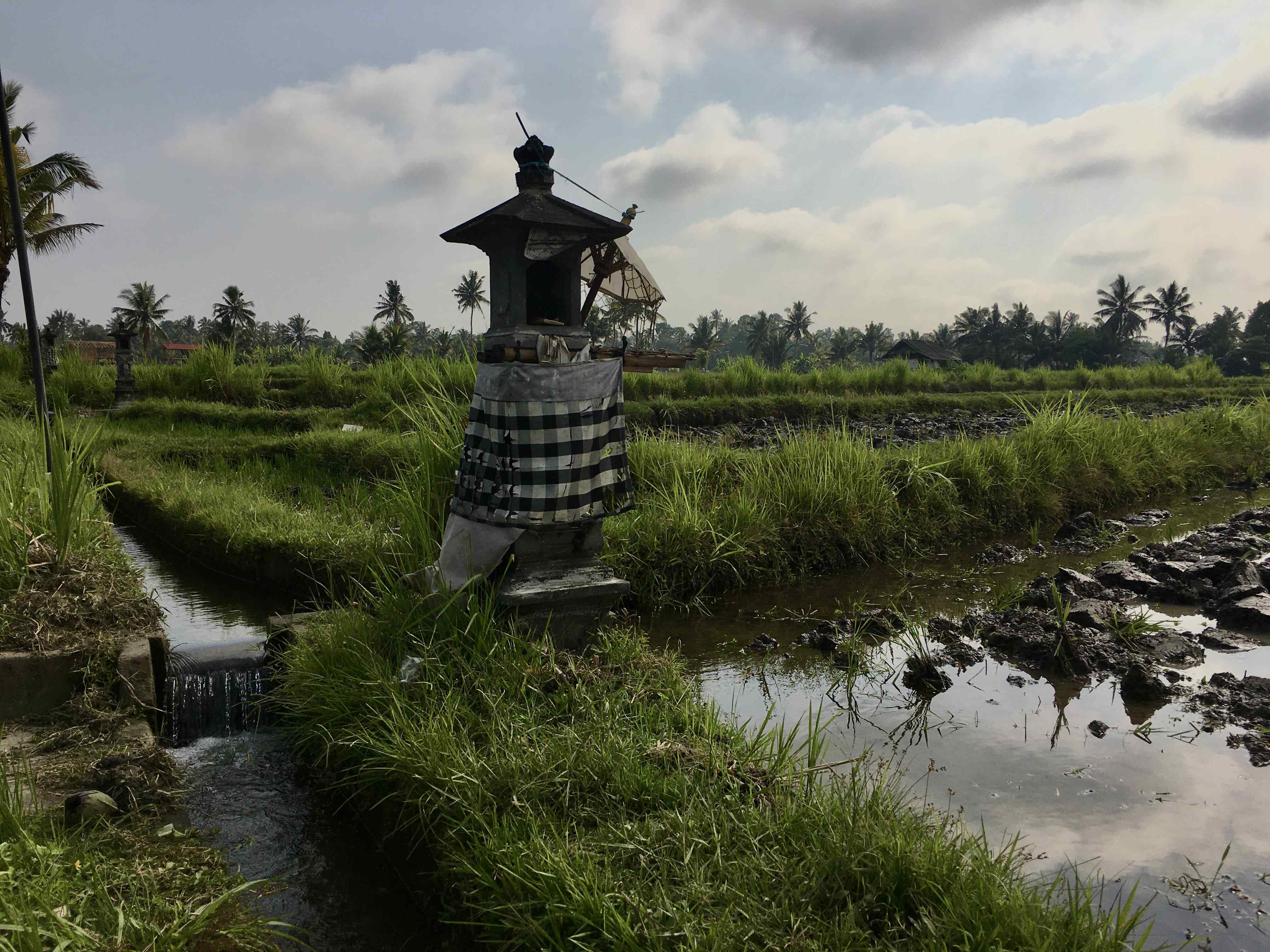 Harmoni dalam Budaya Subak di Bali